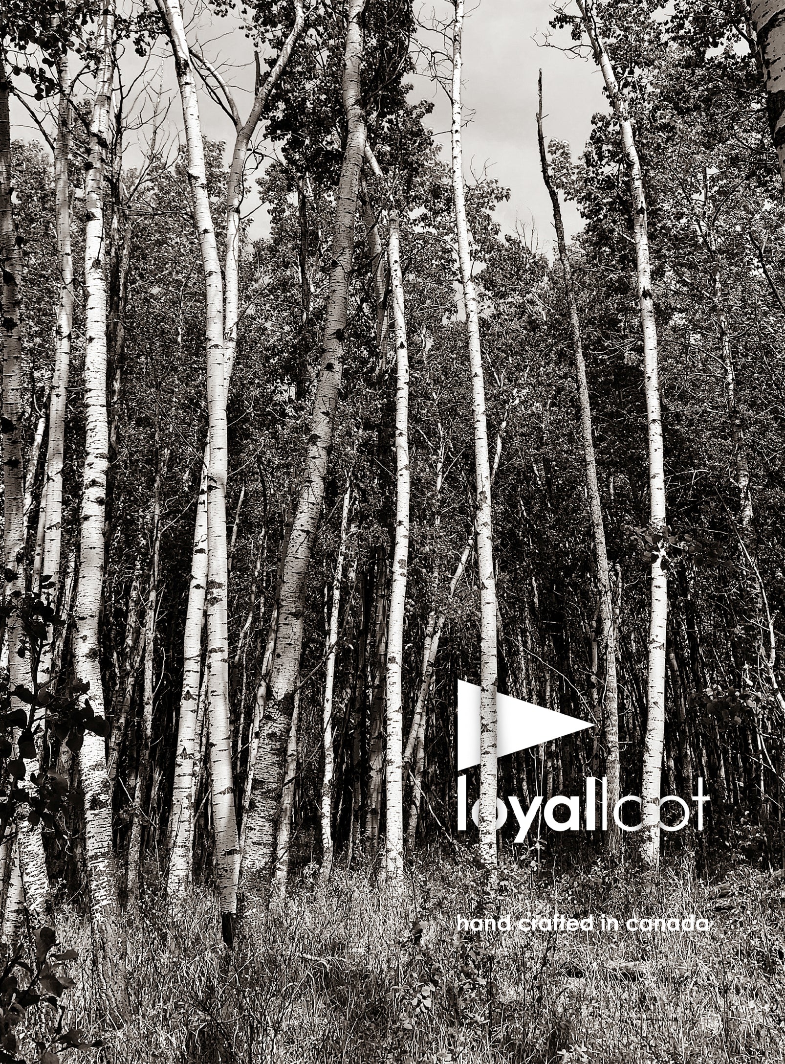 Loyal Loot Gift Card